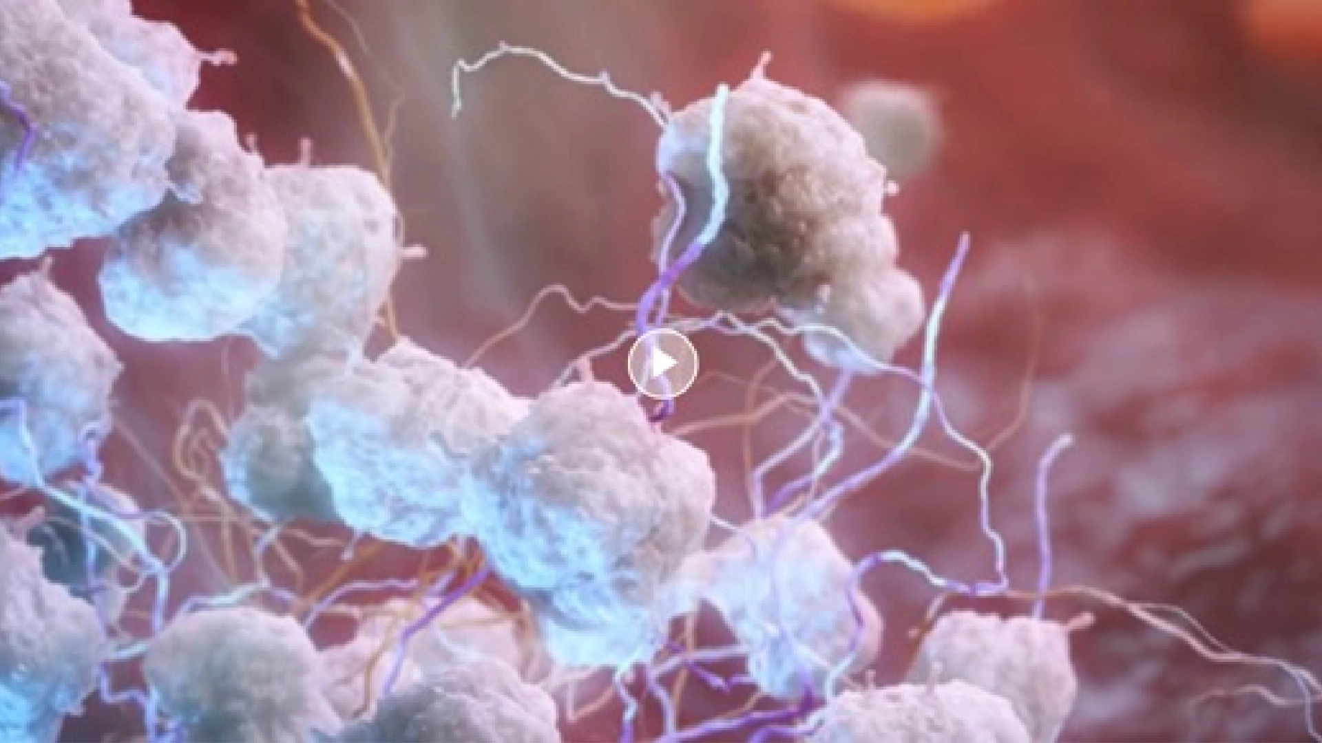 How CABLIVI (caplacizumab-yhdp) works